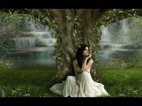 SEVDİM İŞTE SENİ (Erol KINGIR)