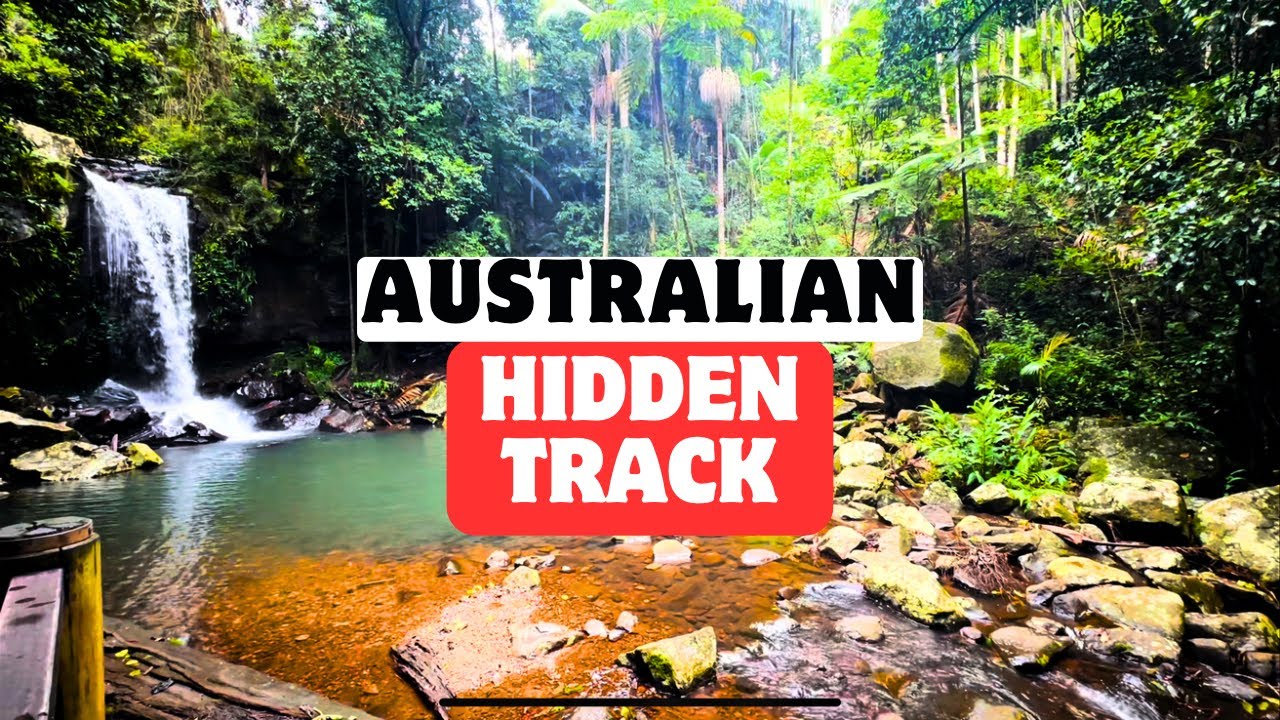 HIDDEN & UNKNOWN Rainforest Track - Australia Walkthrough - Mt ...