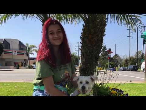 Overcrowded Pounds MAGA Project - YouTube