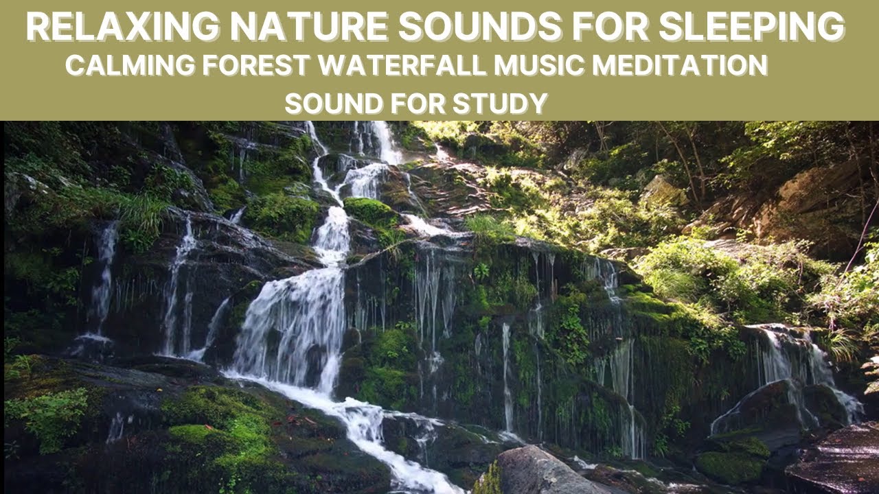 Relaxing Nature Sounds for Sleeping - Calming Forest Waterfall Music ...