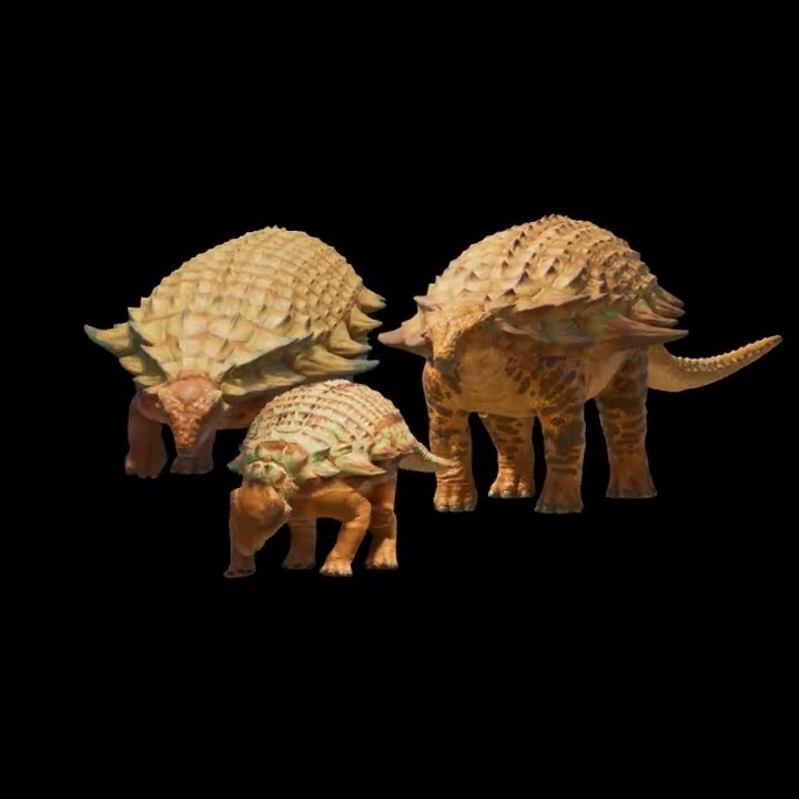 JWE3 Nodosaurus Family - YouTube