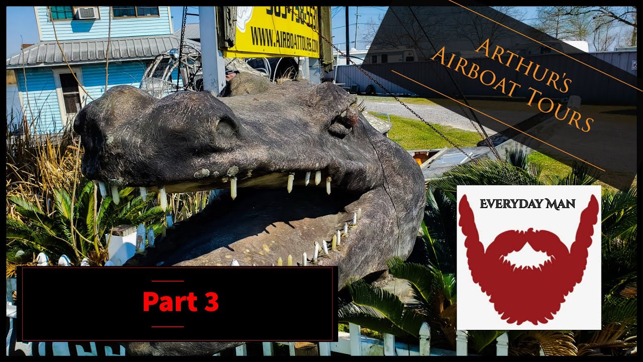 Hand feeding a gator with Airboat Tours by Arthur Part 3 # ...