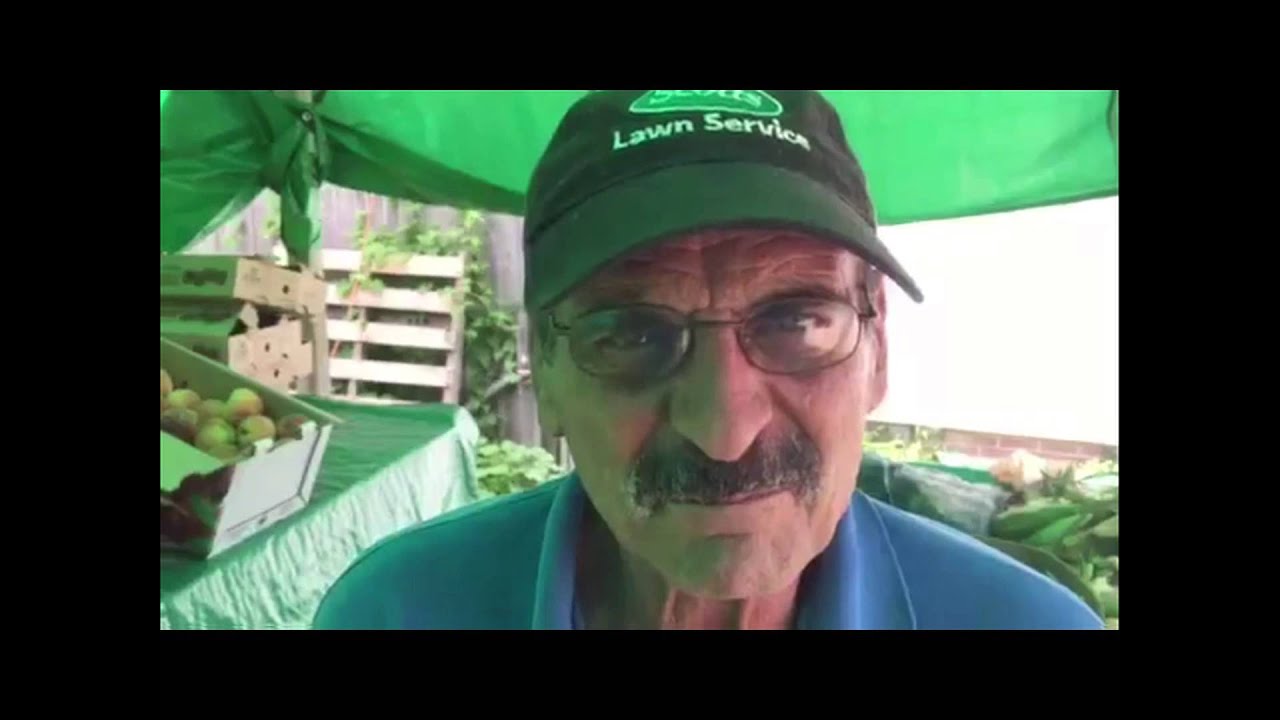 LifeShield Laser extends shelf life of Tomato - YouTube