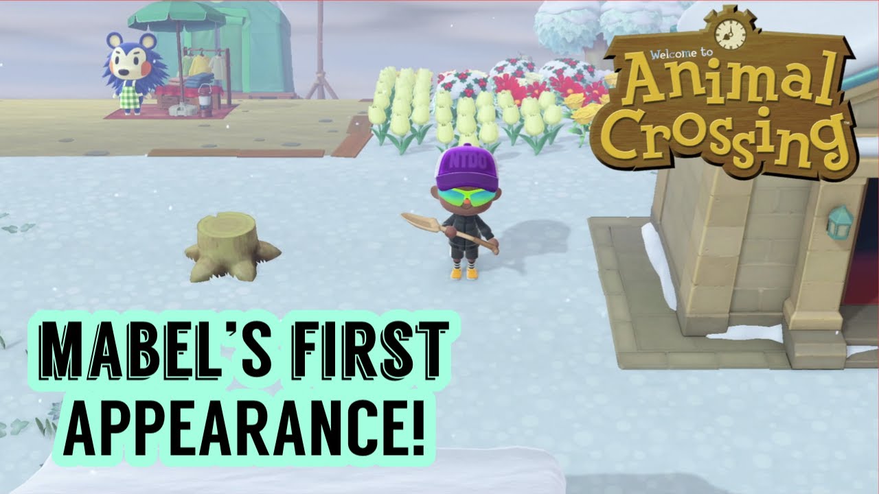 ACNH: Mabel's fist appearance on our island!!! - YouTube