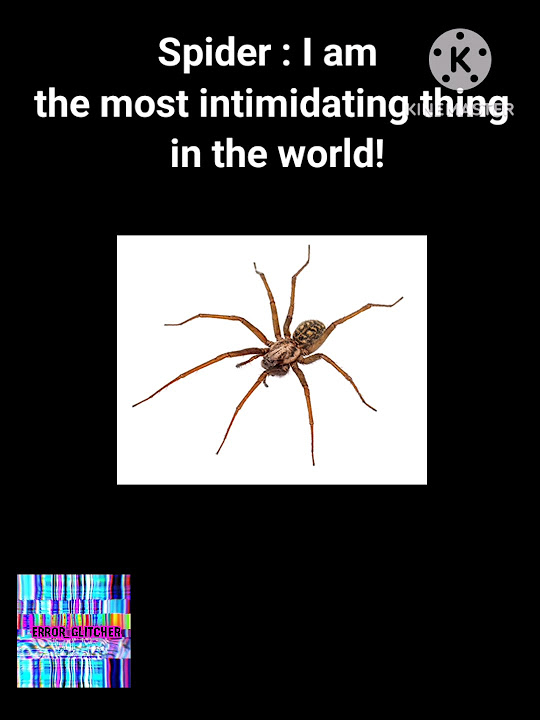 What IS The Most Intimidating Thing In The World kinemaster YouTube what-is-the-most-intimidating-thing-in-the-world-kinemaster-youtube