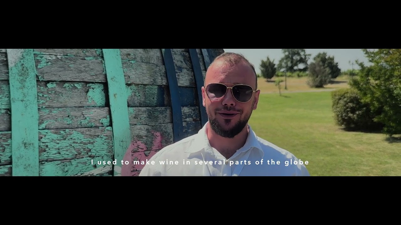 BIWCF 13 Darius Pripon - YouTube