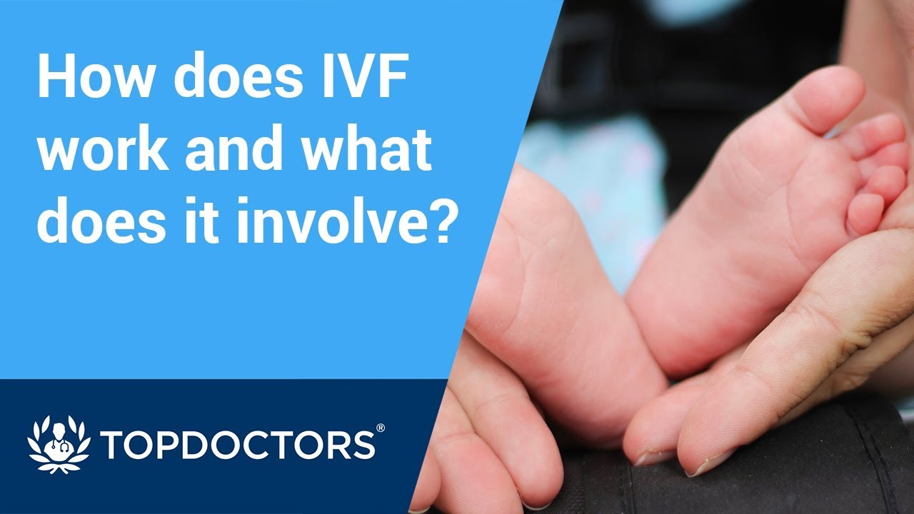 How does IVF treatment work and what does the procedure involve? - YouTube