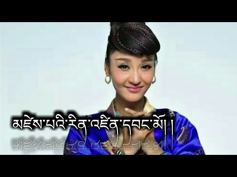 Tibetan Song ZePai RinZin WangMo Lyrics བོད་གཞས། མཛེས་པའི་རིན་འཛིན་དབང ...