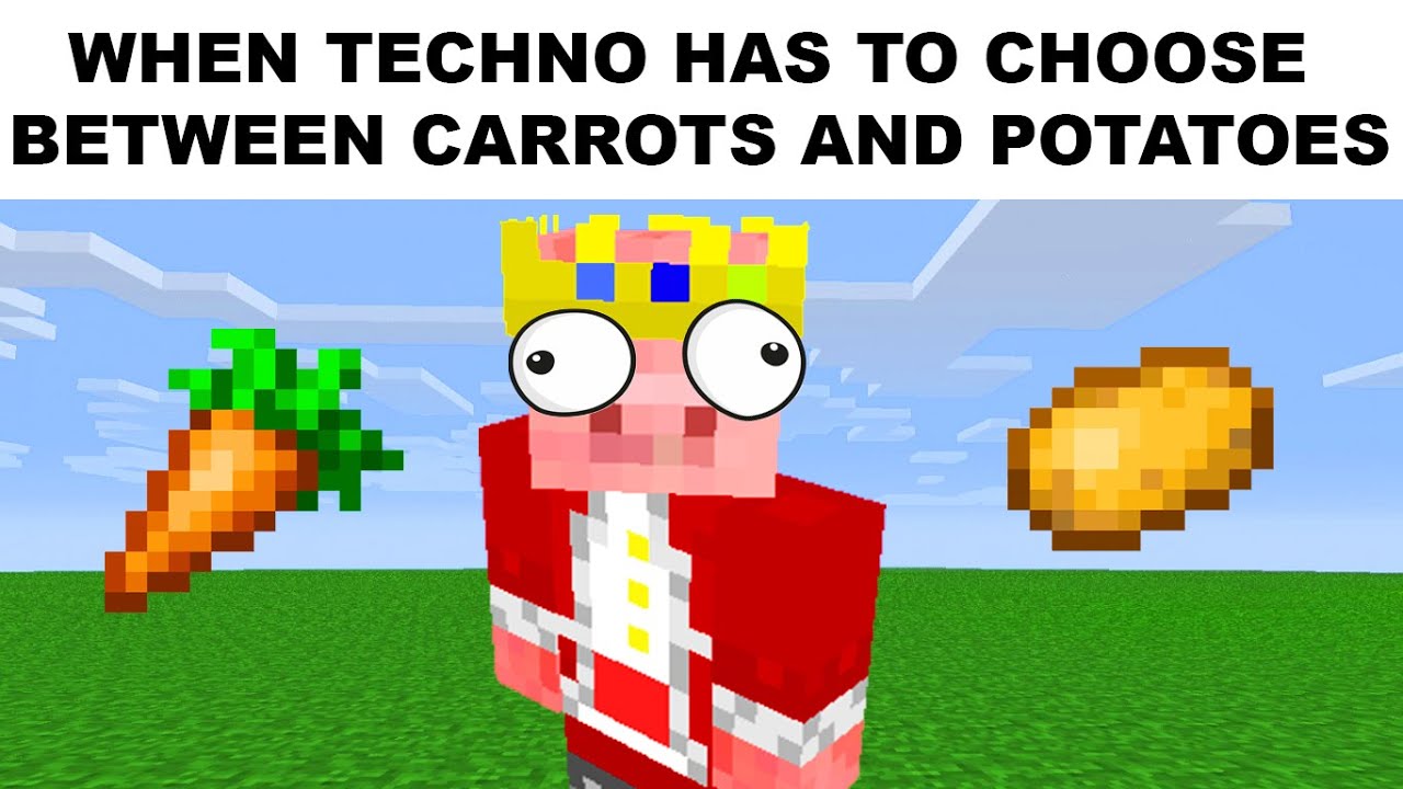 technoblade memes that i can't explain - YouTube