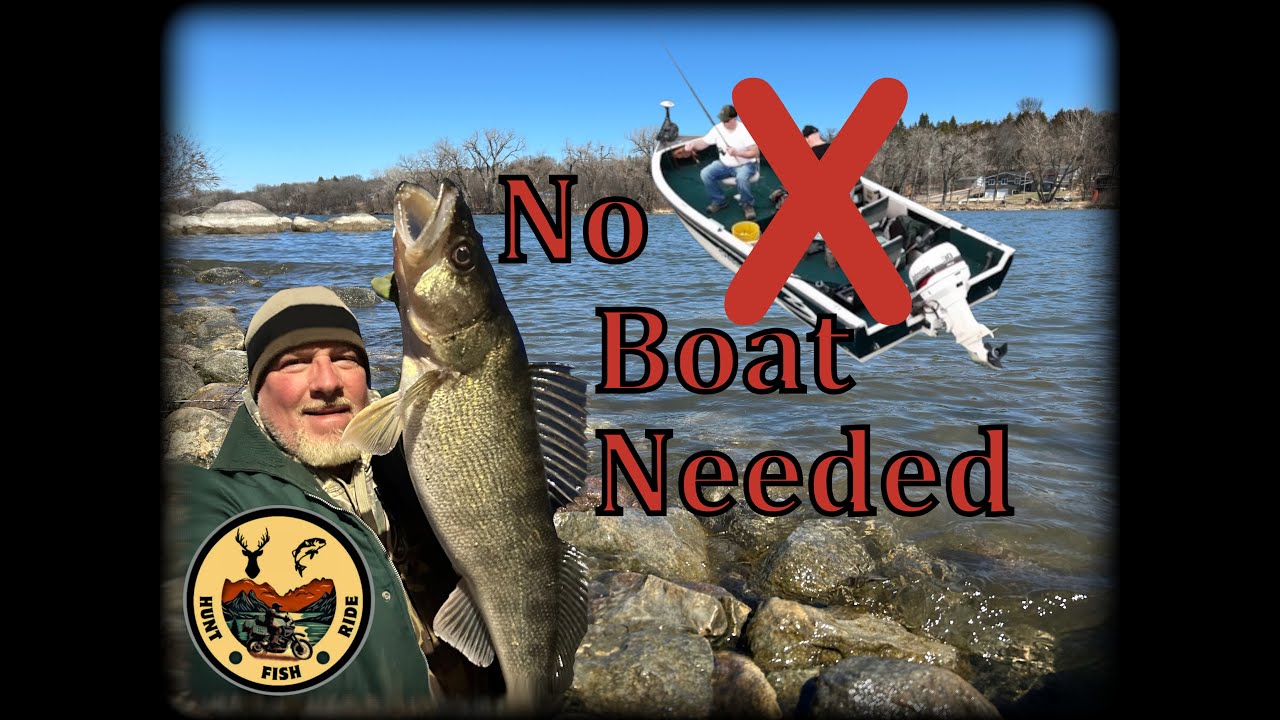 Early Spring Shoreline Walleye & Northern - YouTube