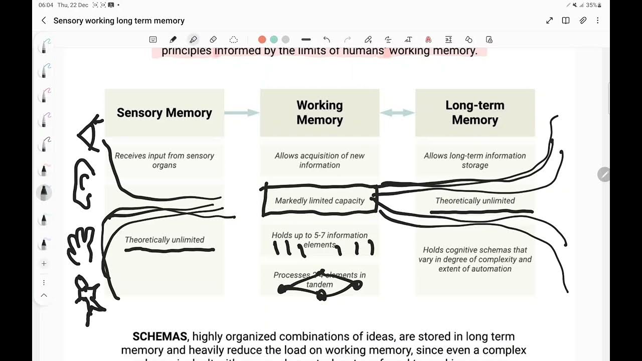 How Cognitive Load Theory works with Sensory Memory, Working Memory, and Long Term Memory - YouTube