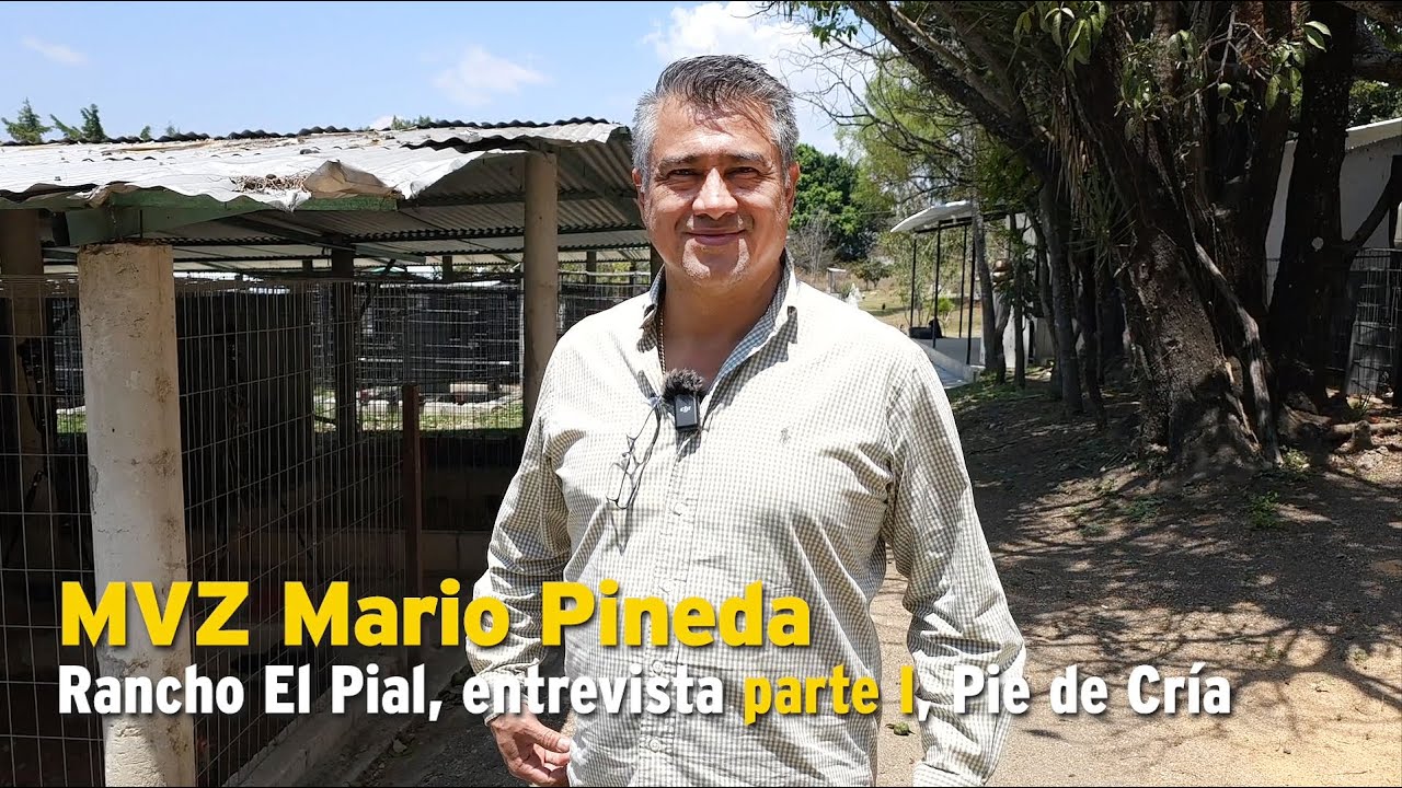 MVZ Mario Pineda, Rancho El Rancho el Pial , entrevista parte I, Pie de ...