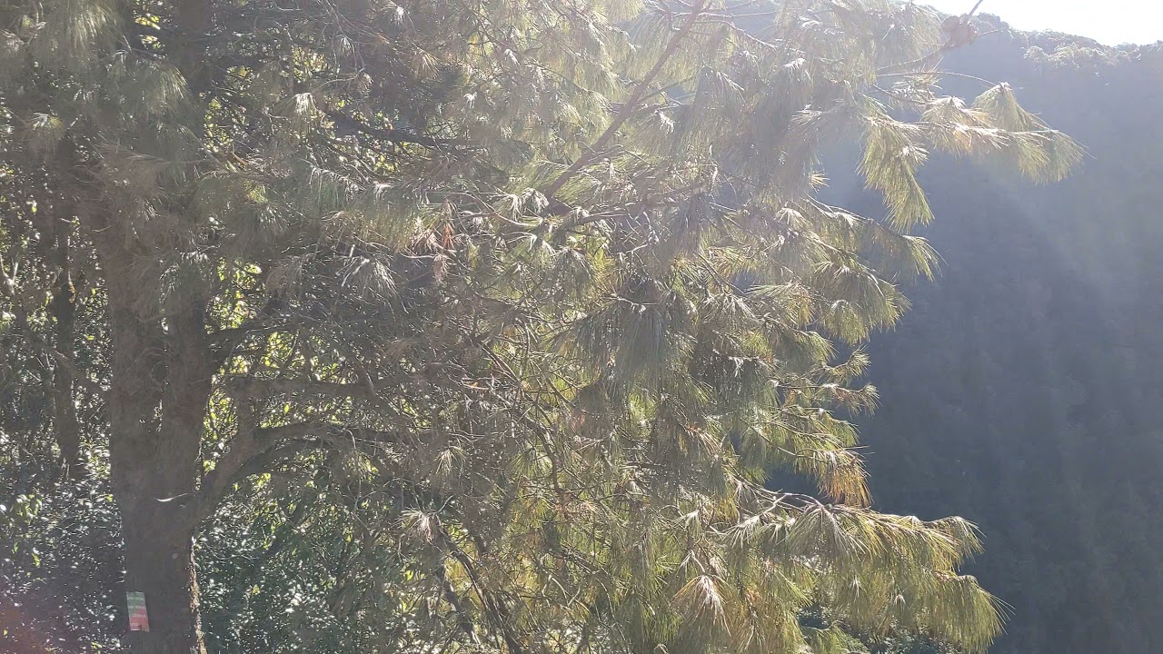 Mawkdok bridge shillong to cherapunjee huge mountains and nature view ...