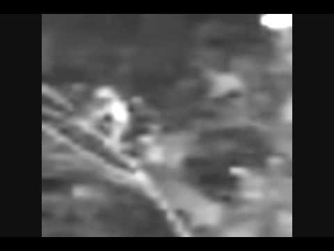 Bigfoot Face on Trail Cam??? - YouTube