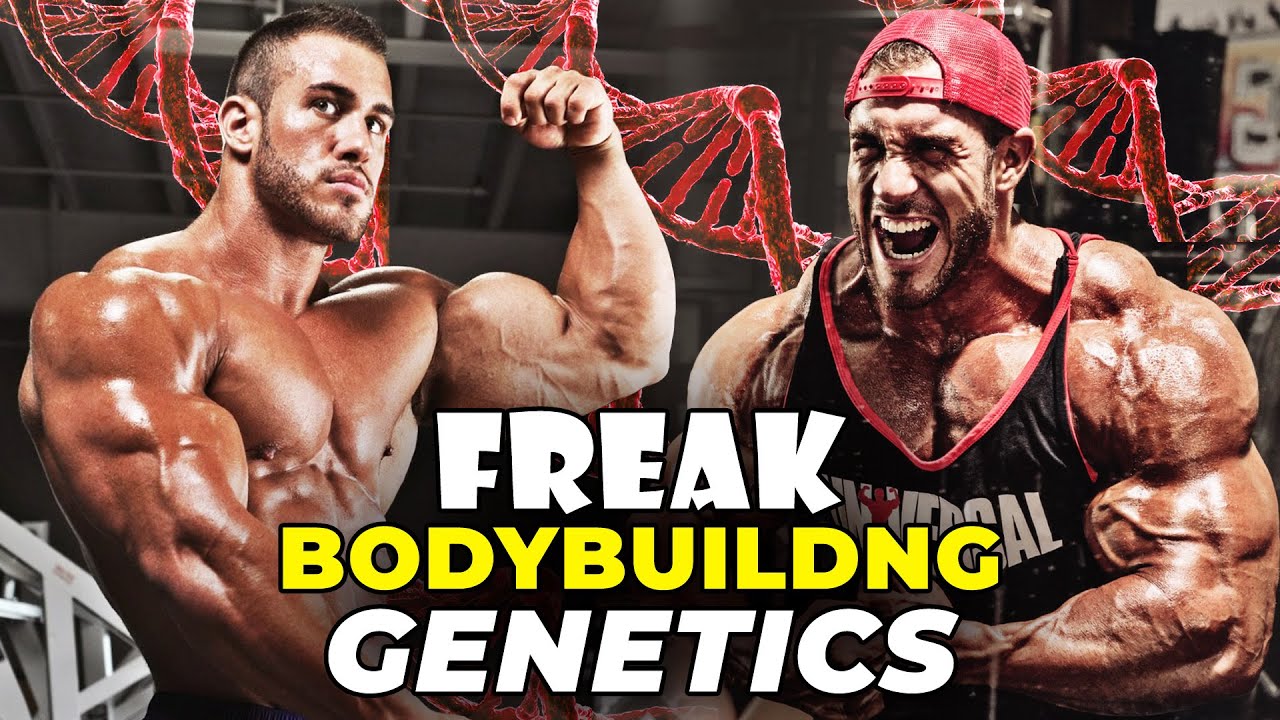 Day 1 ⇒ IFBB Pro Transformation - Example Of Freak Bodybuilding ...