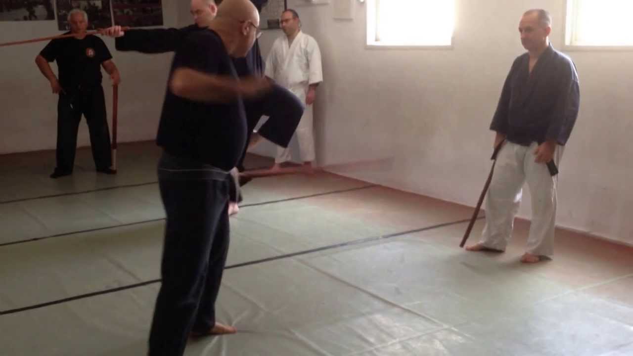 Straight Sword Fundamentals Stances and Moves #3, Bujinkan Ninjutsu ...