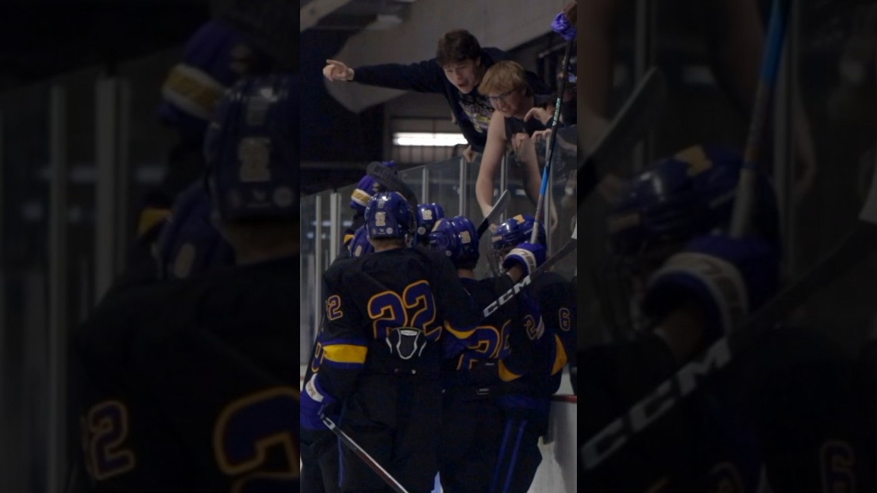Aj Ritter goal #lourdeshockey #lhsboyshockey #lourdeshighschool #hockey ...