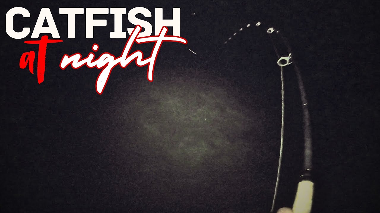 Spinning for the Catfish at Night - YouTube
