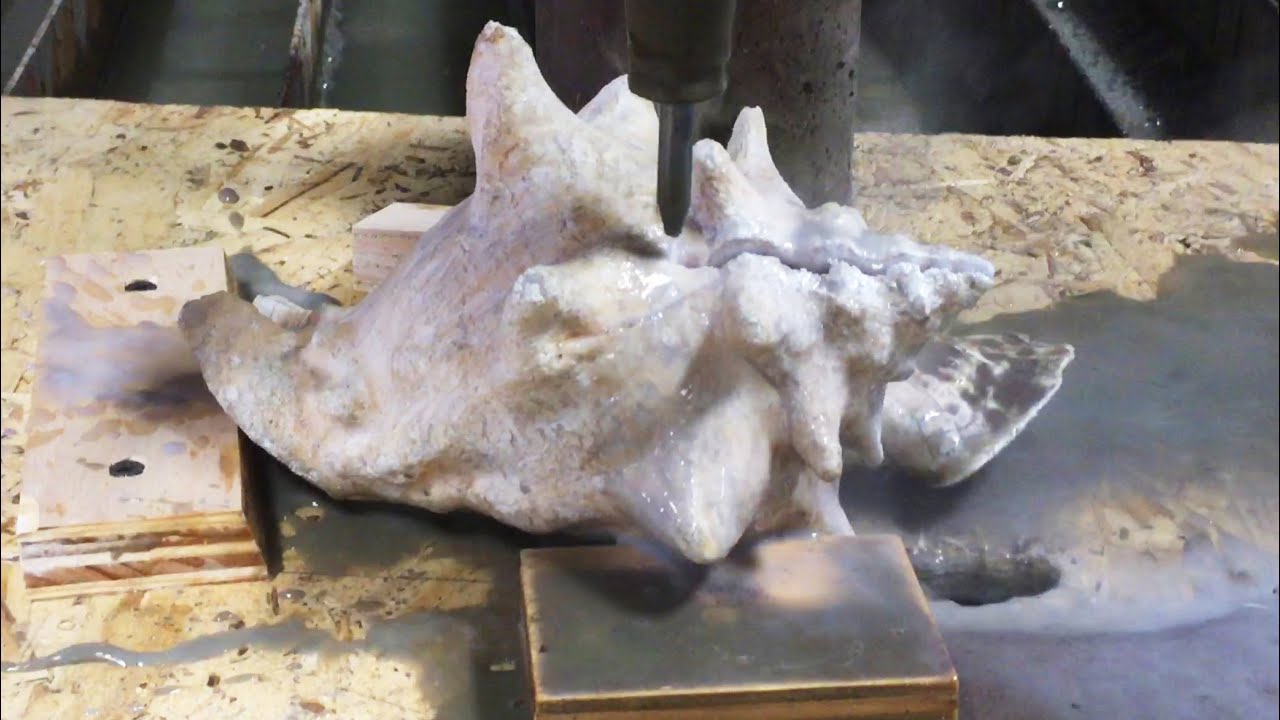 Cutting A Seashell With A Waterjet - YouTube