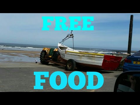 Foraging for winkles preparing and cooking them - YouTube