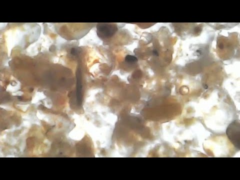 One raindrop under microscope - YouTube