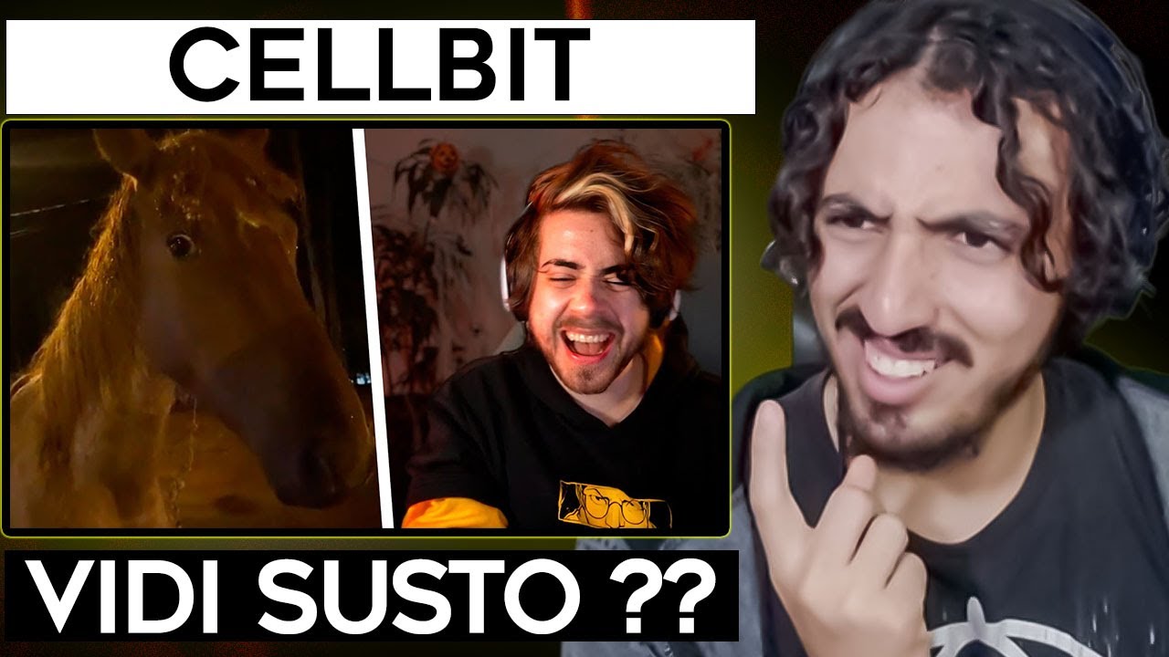 o reddit dos memes ANIMAIS - Cellbit | Leozin React - YouTube