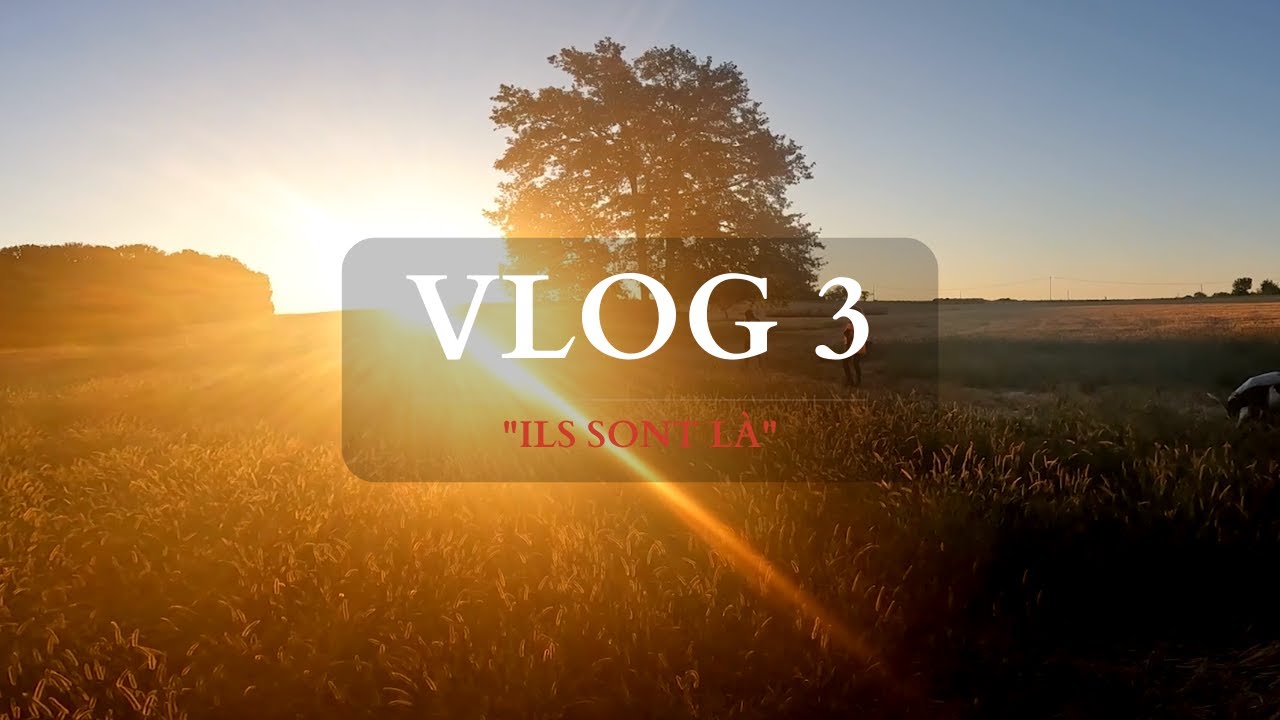 vlog-3-ils-sont-l-chasse-aux-chiens-courant-ouverture-2022-youtube