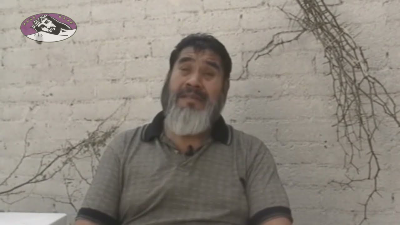 Entrevista Teodoro Narciso Reyes - YOUTUBE FINAL - YouTube