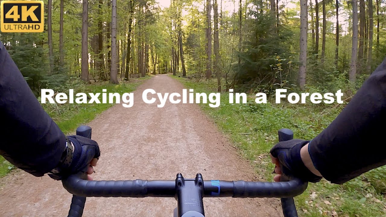 4K Cycling in a Forest | Sounds of Nature - YouTube