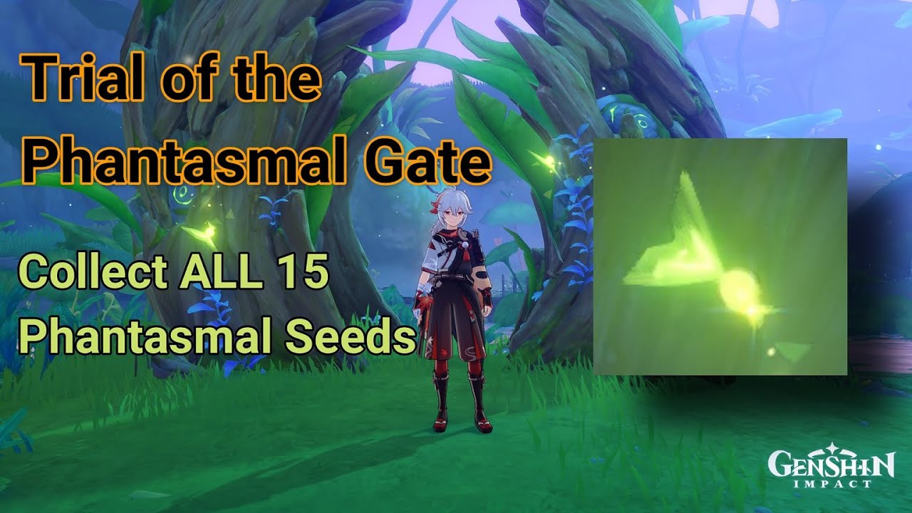 Complete The Trial Of The Phantasmal Gate Collect Phantasmal Seeds complete-the-trial-of-the-phantasmal-gate-collect-phantasmal-seeds