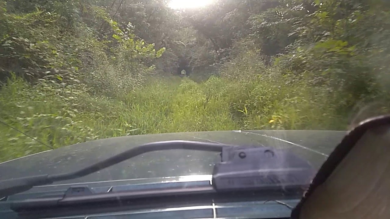 (7-26-19) Old train tunnel @ Freeburg,Mo - YouTube