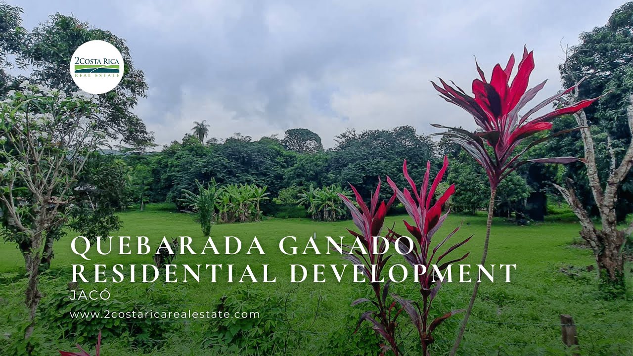 Quebrada Ganado Development Land - YouTube
