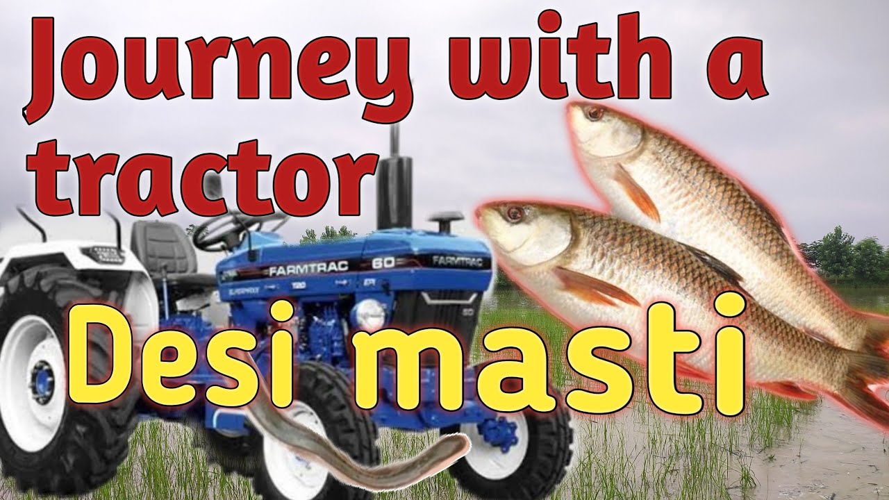 catching fish and journey with a tractor - YouTube