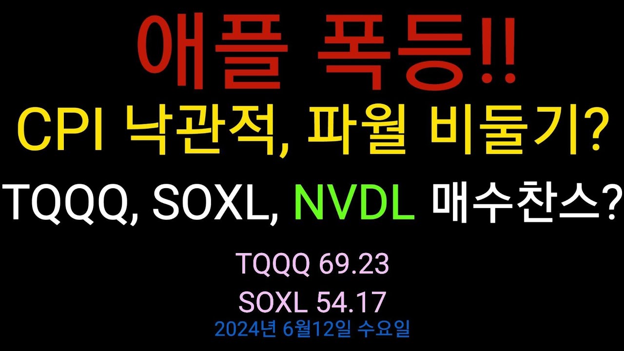 애플 폭등!! CPI낙관, 파월 비둘기? TQQQ, SOXL, NVDL 매수찬스? #미국주식#주식 #반도체 - YouTube