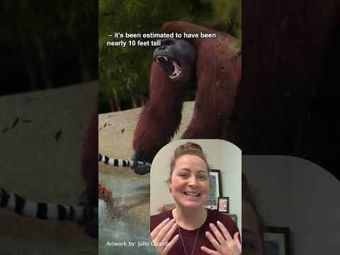 Gigantopithecus: The Real-Life Bigfoot Ape's Fossil Discoveries Unveiled