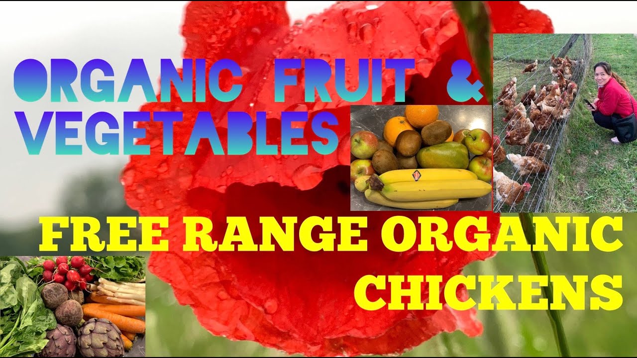 Fresh ORGANIC FRUIT & VEGETABLES|Free Range ORGANIC CHICKENS - YouTube