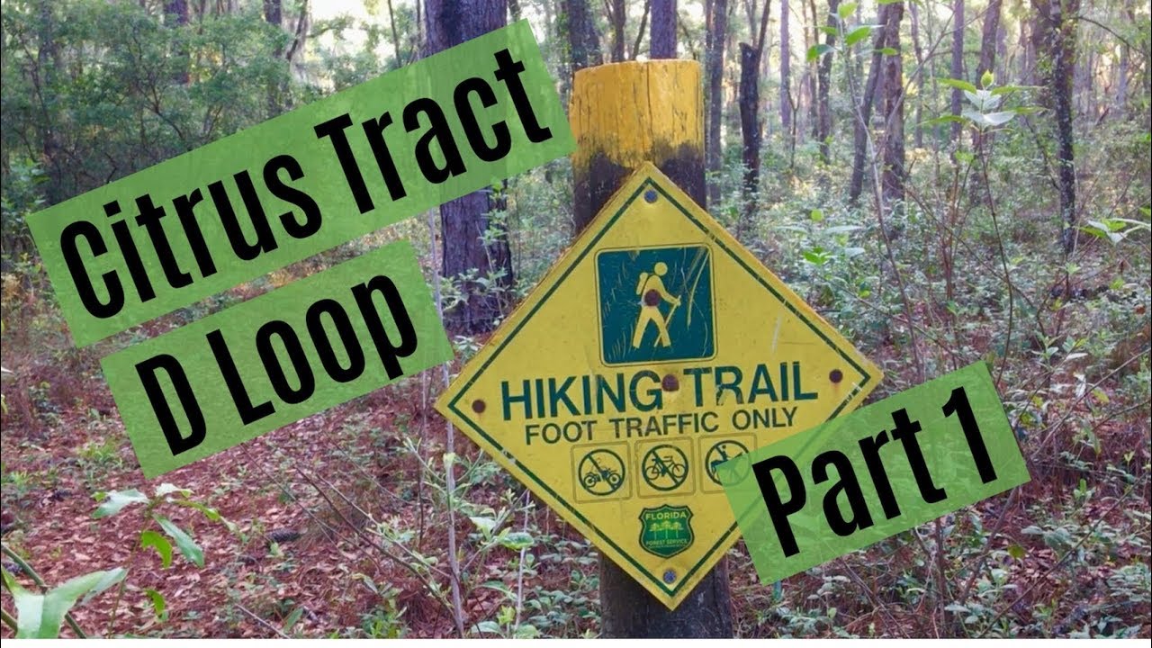 Citrus Tract - D Loop, part one - YouTube