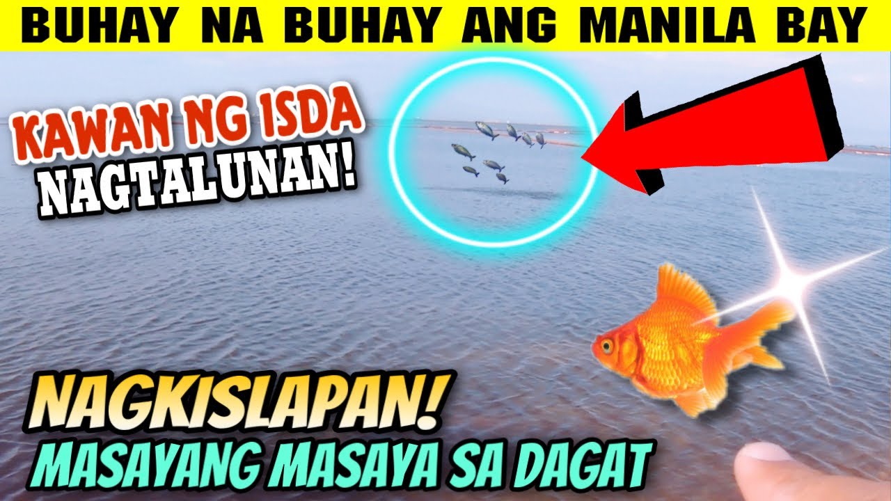 BUGAONG, BANAK AT TILAPIA! LIBO-LIBONG ISDA NAGSAYA! NAGTALUNAN PA ...