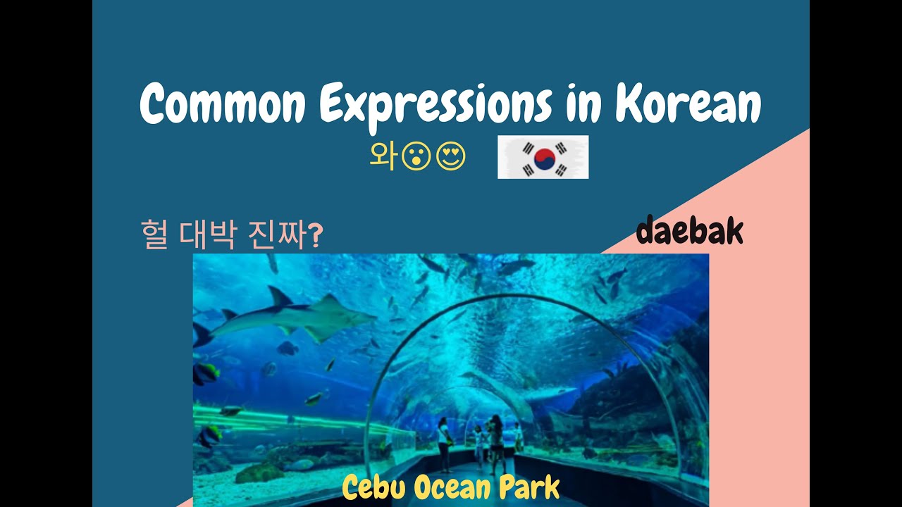 Common Expressions in Korean - YouTube