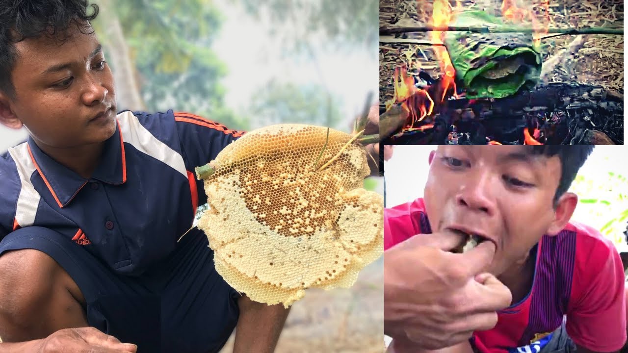 Primitive food eat roast honey bee, fish and crabs - YouTube