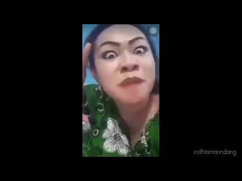 Story WA Viral COLI || angka angin || angka tolor