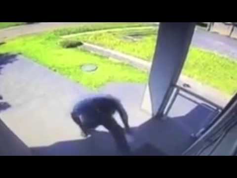 CCTV cameras catch 'lazy postman refusing to deliver parcel' and ...