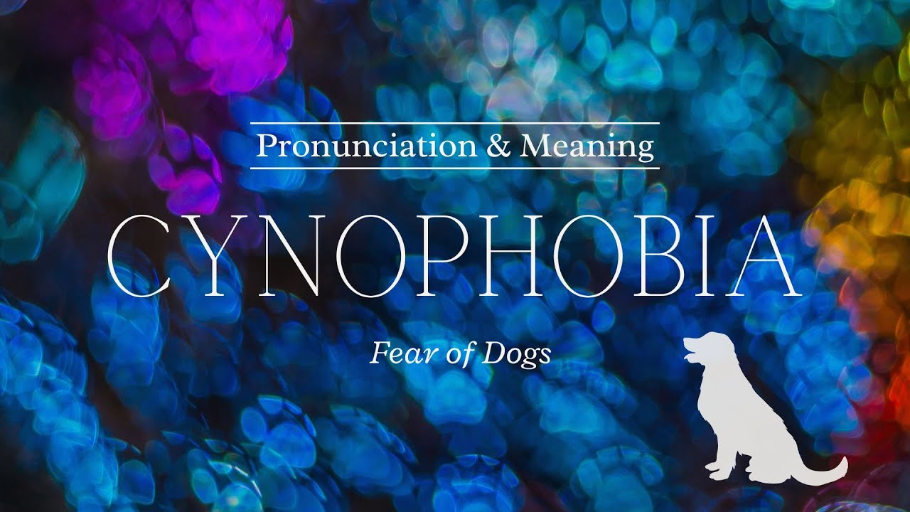 How to Pronounce: Cynophobia | British Pronunciation & Meaning - YouTube