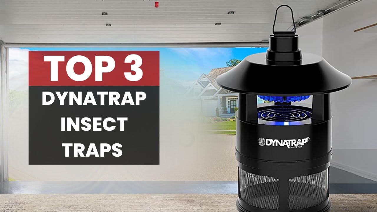 The Ultimate Insect Killer! Dynatrap Insect Traps Review - YouTube