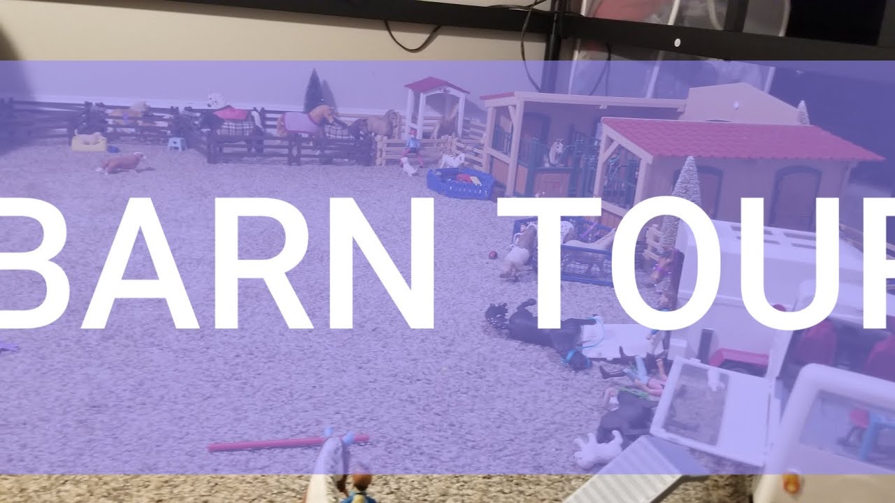 Barn tour January 2025 - YouTube