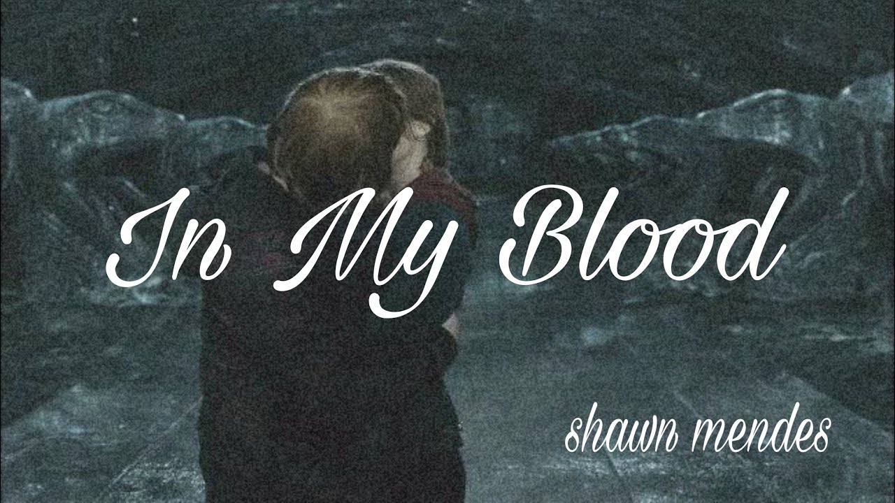 【和訳】In My Blood- Shawn Mendes lyrics - YouTube