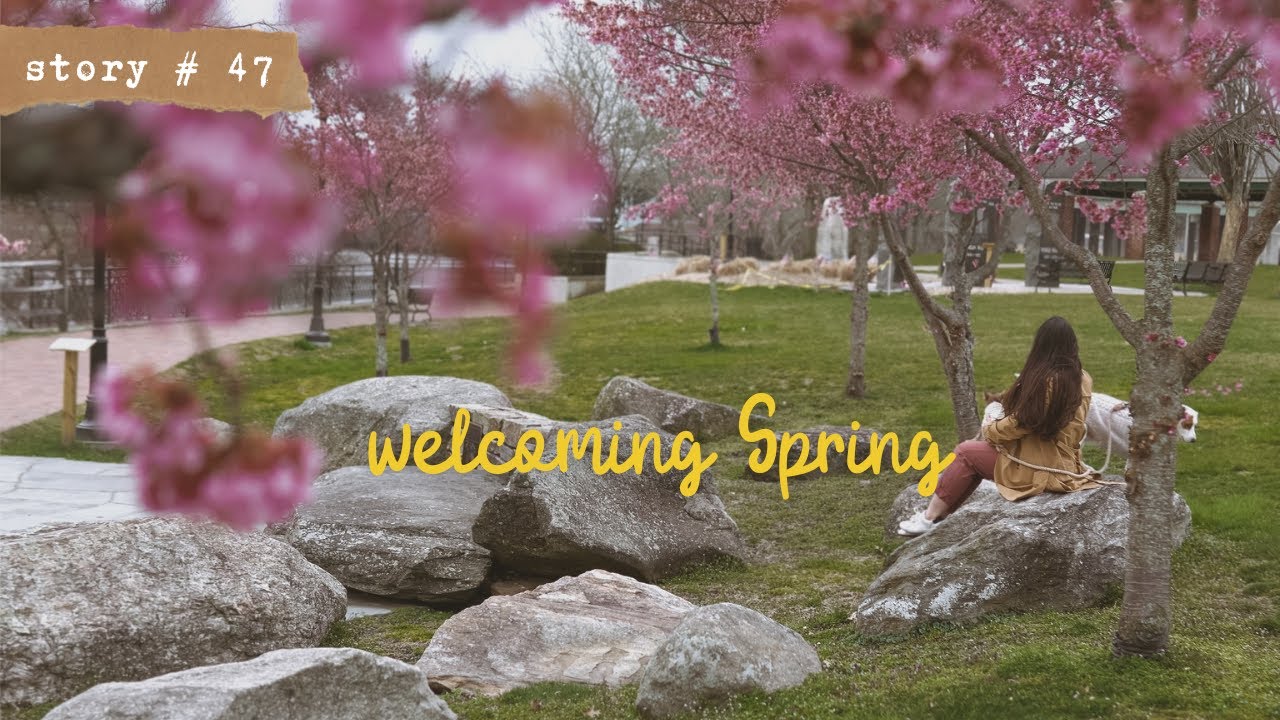 A Slow and Gentle Transition into SPRING 🌸 Apartment Refresh ...