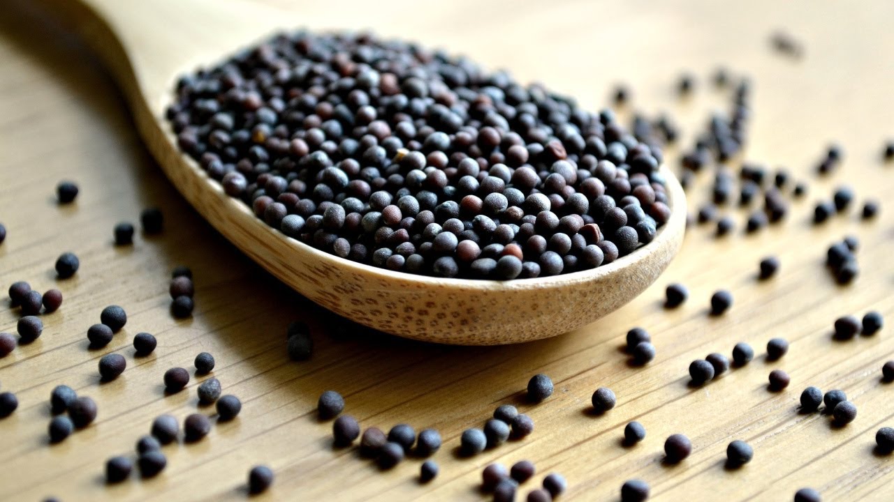 Mustard Plants and Their Significance in the Bible - YouTube