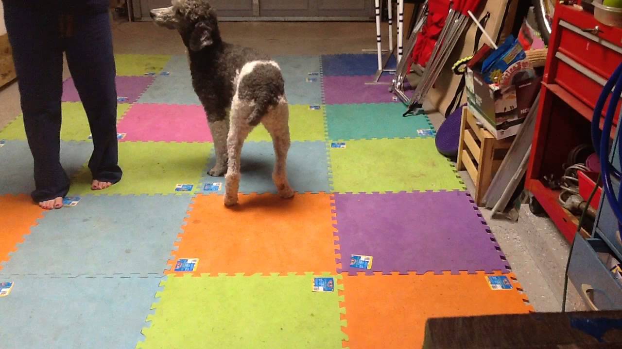 bh 280 perri week 2 game 1a - YouTube