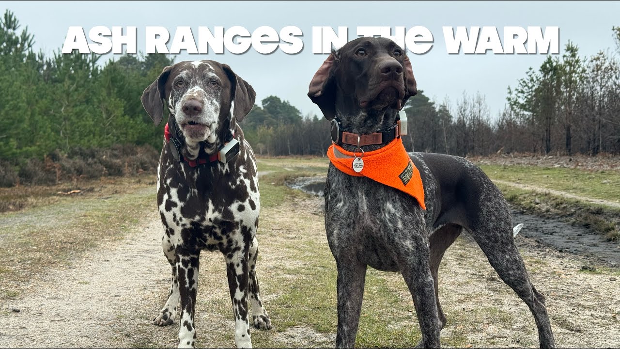 Ash Ranges On A Very Warm January - YouTube